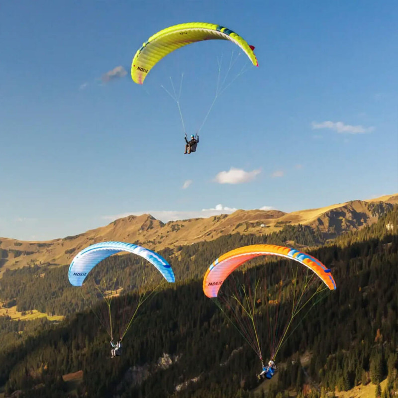 Ozone - Moxie - Paragliding EN A - Introduction Size (SML) XXS Color ...