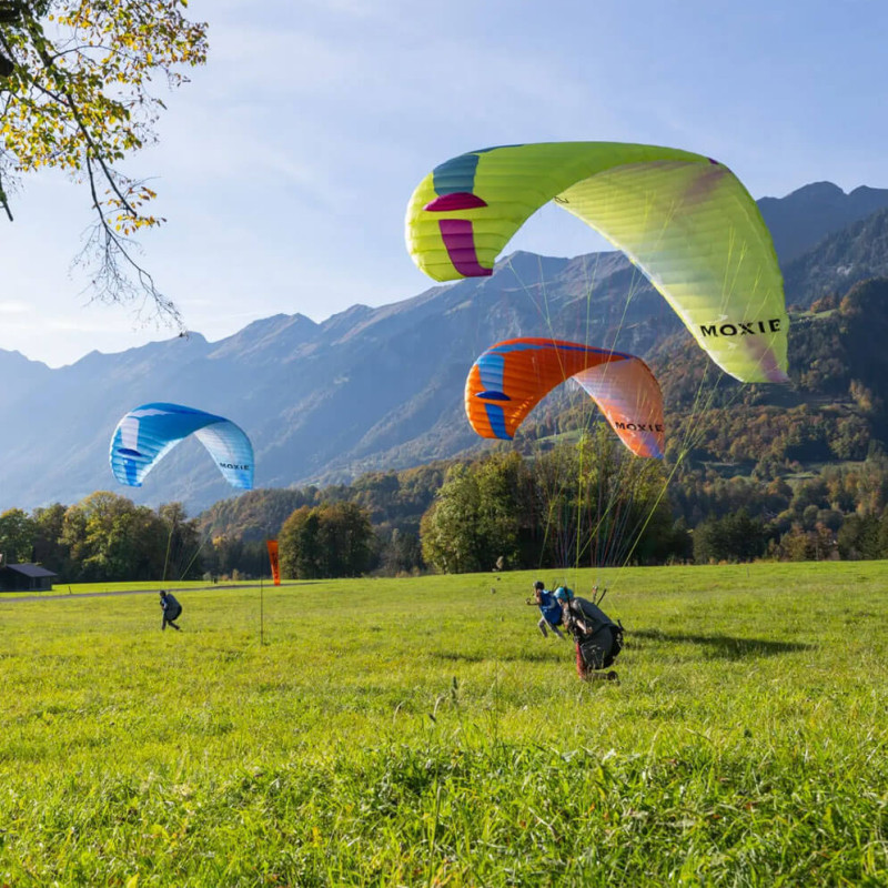 Ozone - Moxie - Paragliding EN A - Introduction Size (SML) XXS Color ...