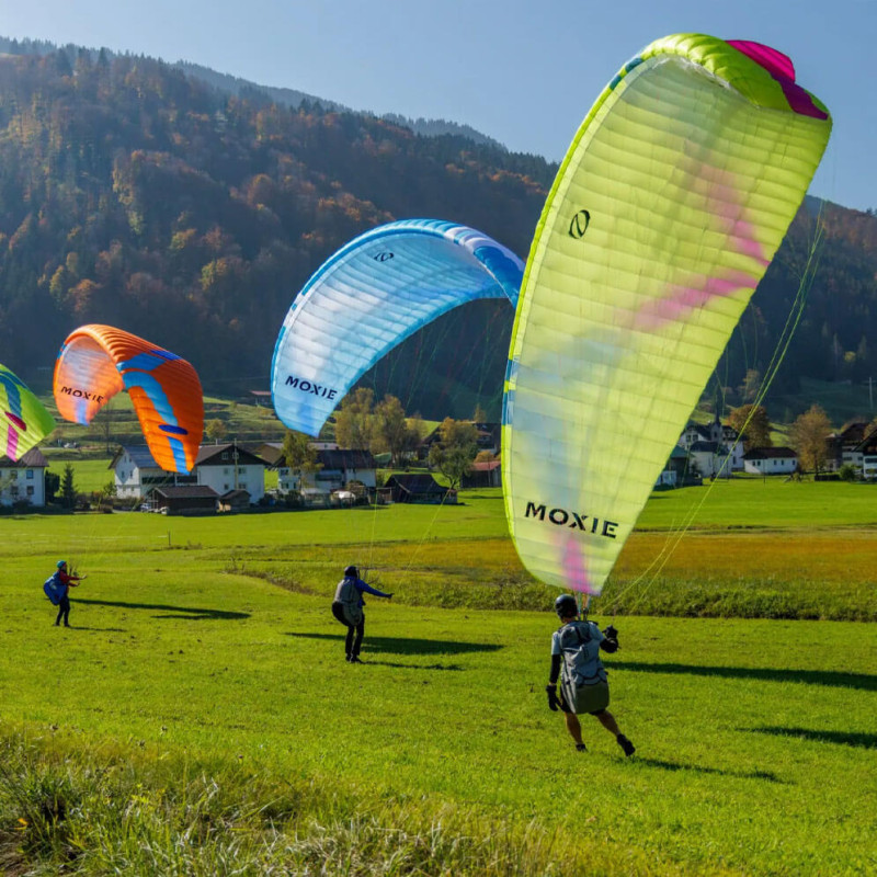 Ozone - Moxie - Paragliding EN A - Introduction Size (SML) XXS Color ...